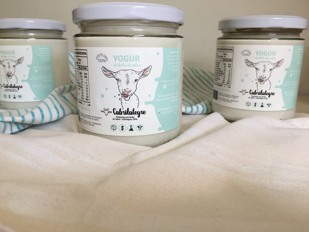 YOGURT, LECHE Y CULTIVOS LÁCTICOS – Cabrita Alegre