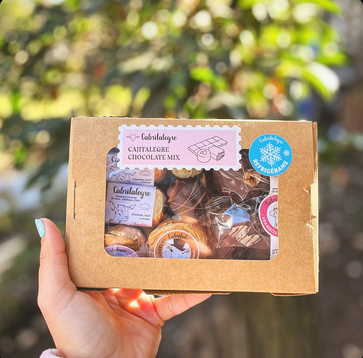 CAJA MIX CHOCOLATE PEQUEÑA – Cabrita Alegre